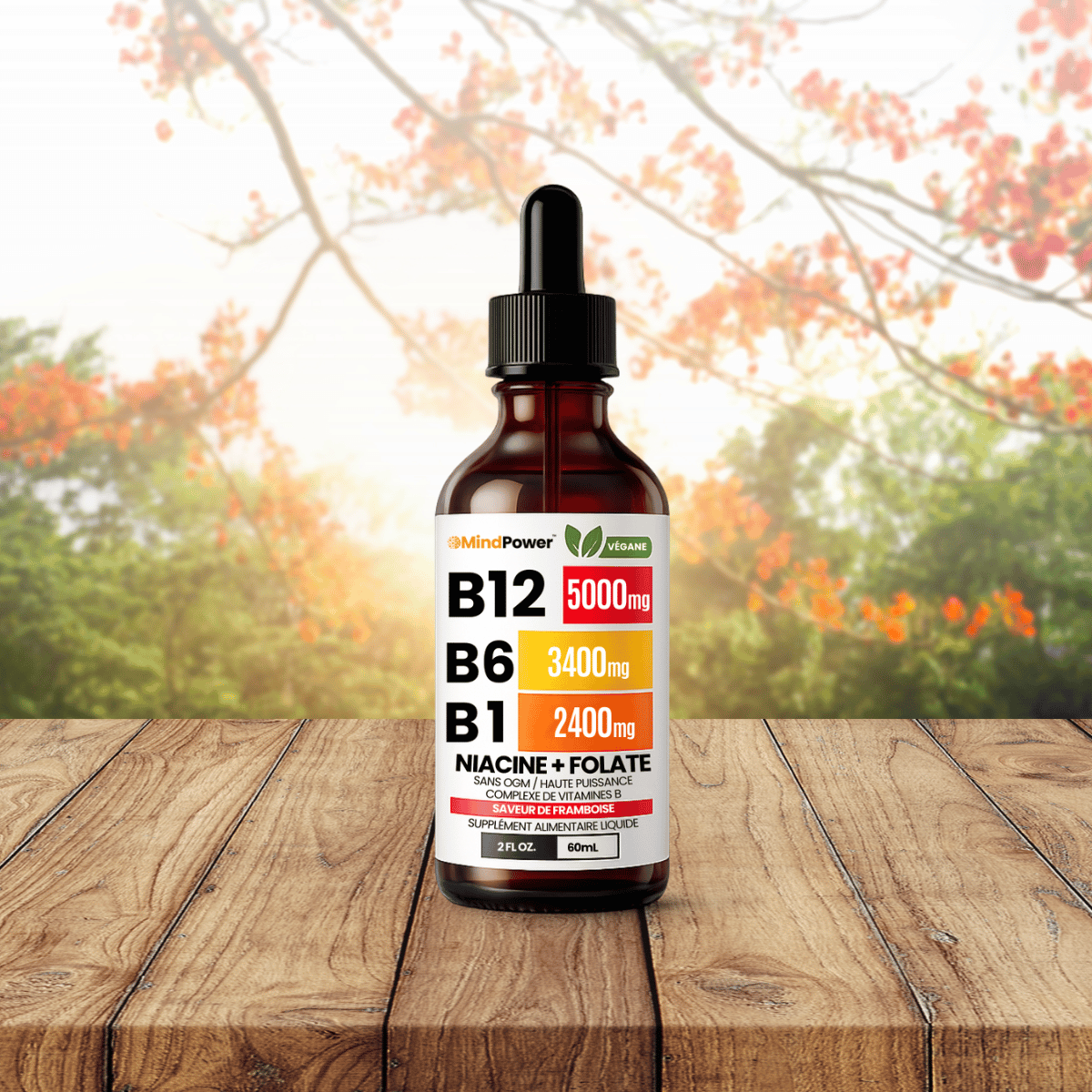 MindPower CA – Candacois